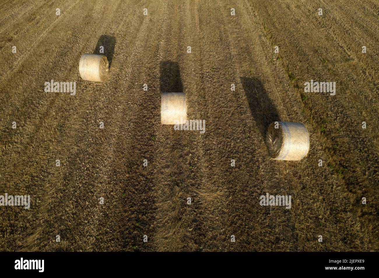 Aerial documentation of the classic straw balers in the fields in the ...
