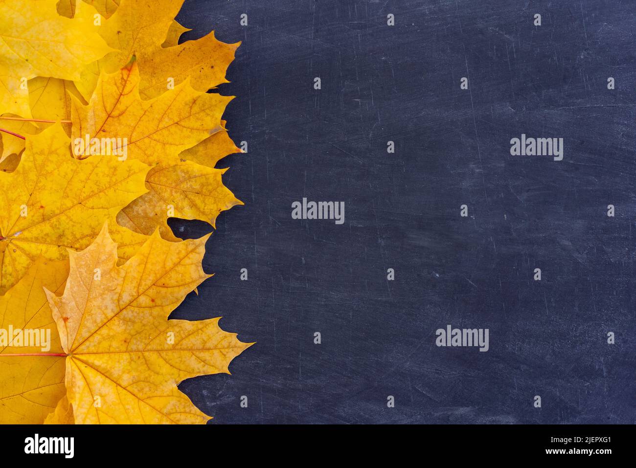 Autumn leaves frame on left side black Chalkboard background top view ...
