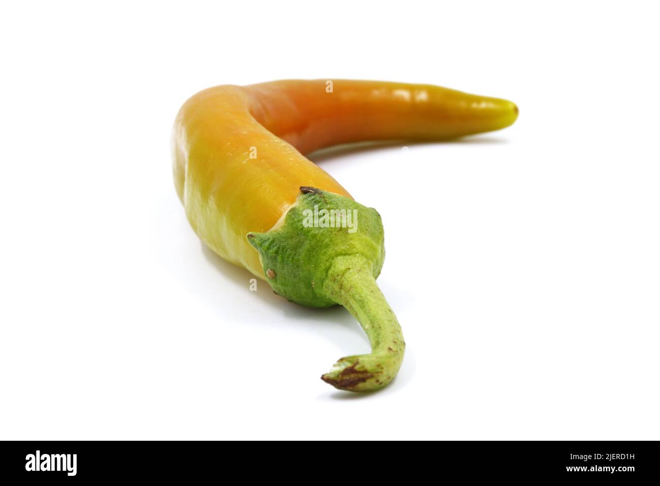 Close-up green chili pepper isolated on white background Stock Photo ...