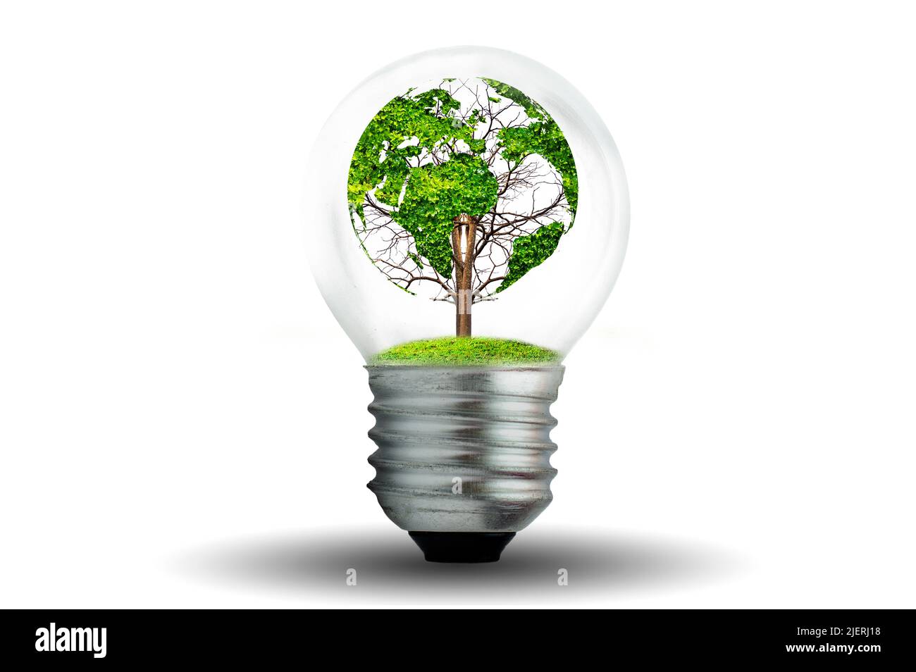world shaped tree in light bulb concept of environmental conservation ...