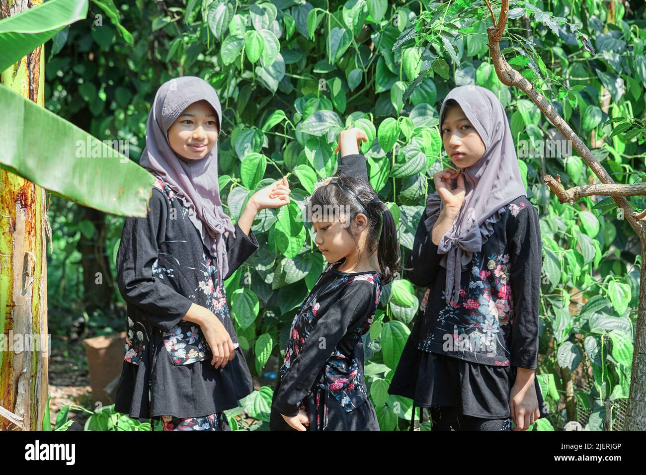 Cute muslim girl in hijab hi-res stock photography and images - Alamy