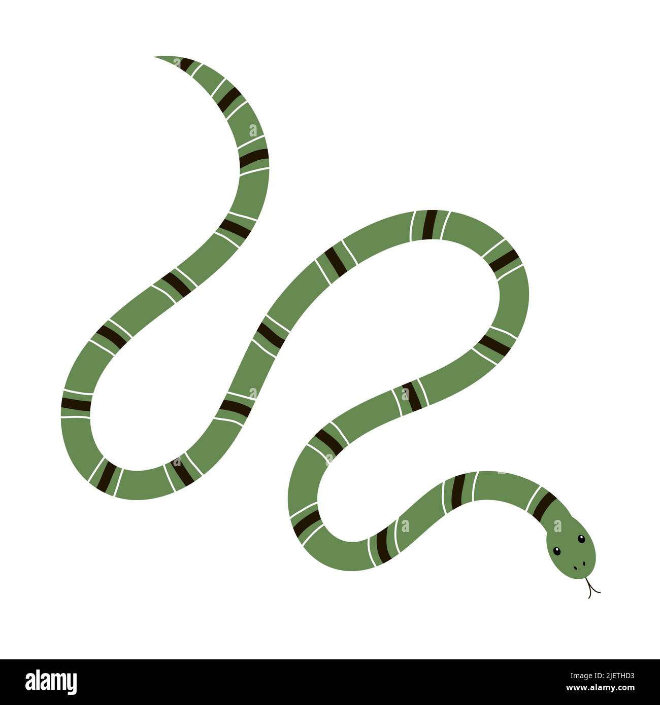 Poisonous green snake. An exotic reptile with a striped pattern. Wild ...