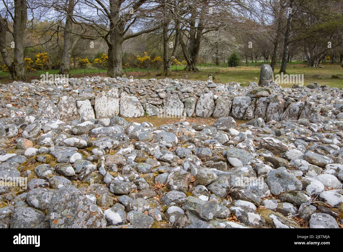 the circular stone cairns known as clava cairns near inverness scotland ...