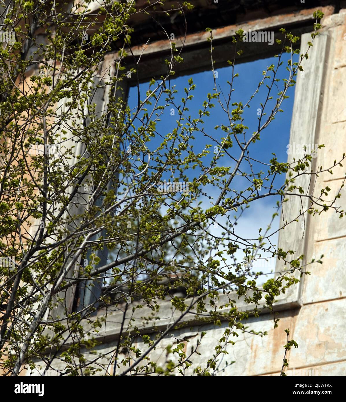 Kiev, Ukraine April 27, 2021: Ruined old vintage style house without ...