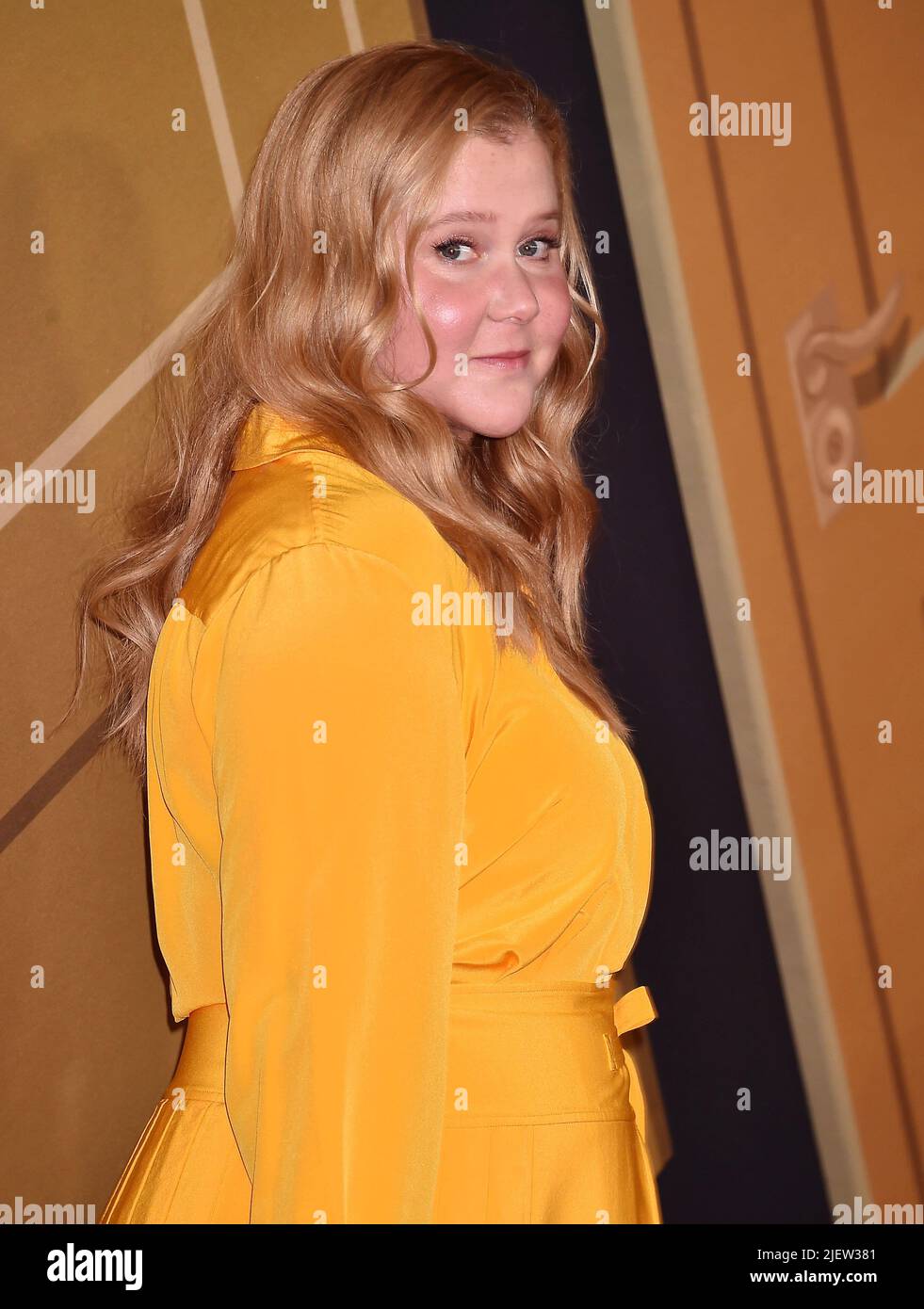 LOS ANGELES, CA - JUNE 27: Amy Schumer attends the Los Angeles premiere ...