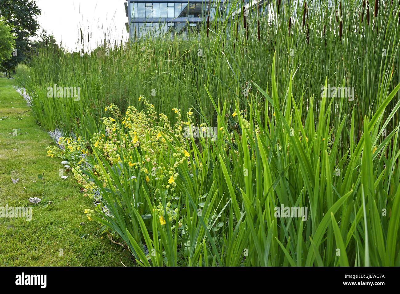 The Park - modern office buildings and landscape with lakes located in ...