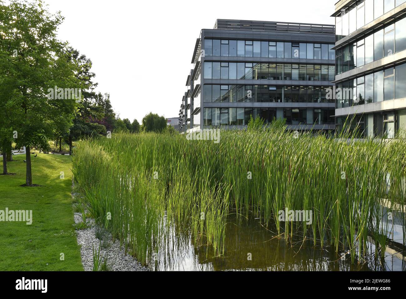 The Park - modern office buildings and landscape with lakes located in ...