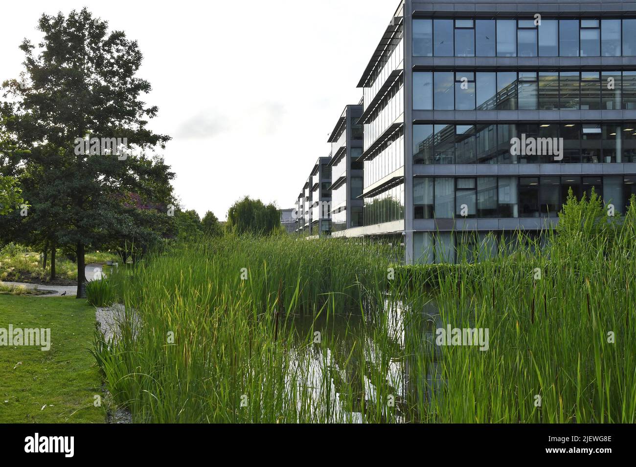 The Park - modern office buildings and landscape with lakes located in ...