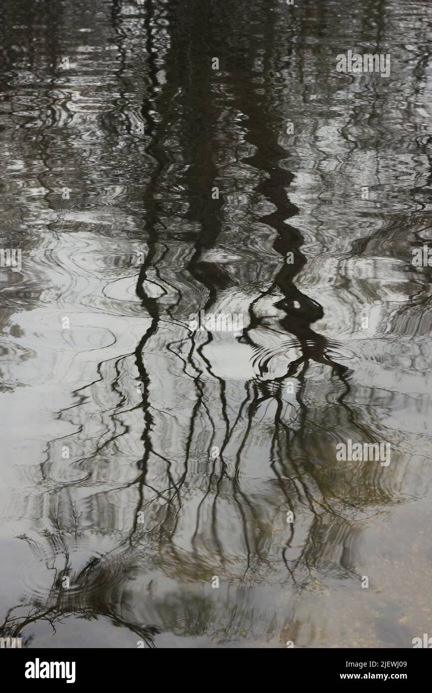 Trees reflecting in the ripples on the surface of the water Stock Photo ...