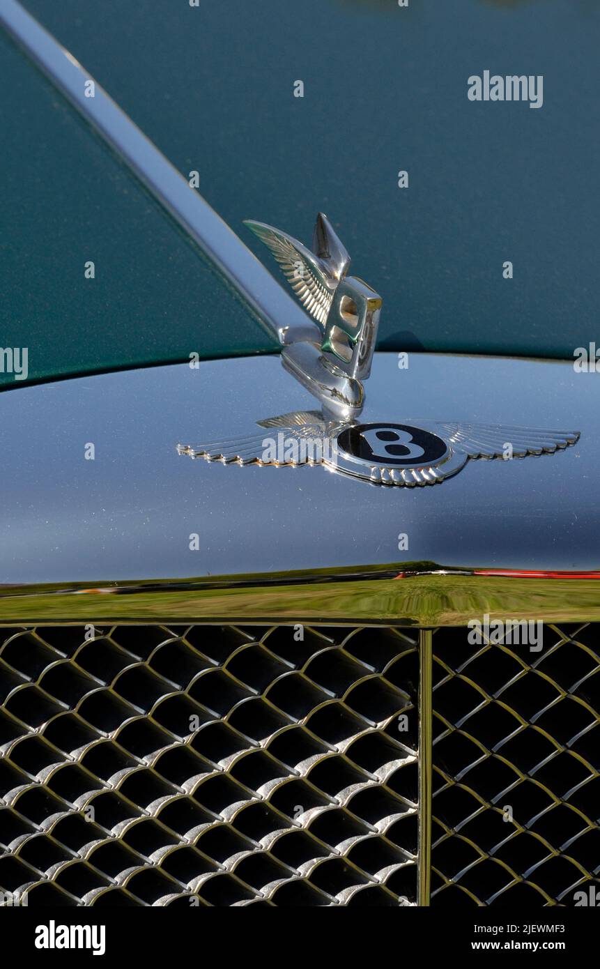 dusty vintage bentley radiator grill bonnet and mascot Stock Photo - Alamy