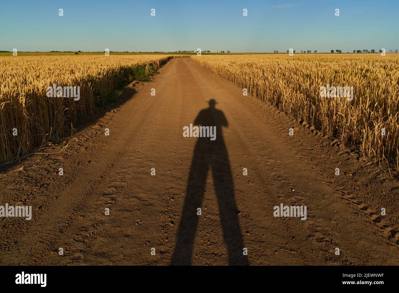 Farmers shadow hi-res stock photography and images - Alamy