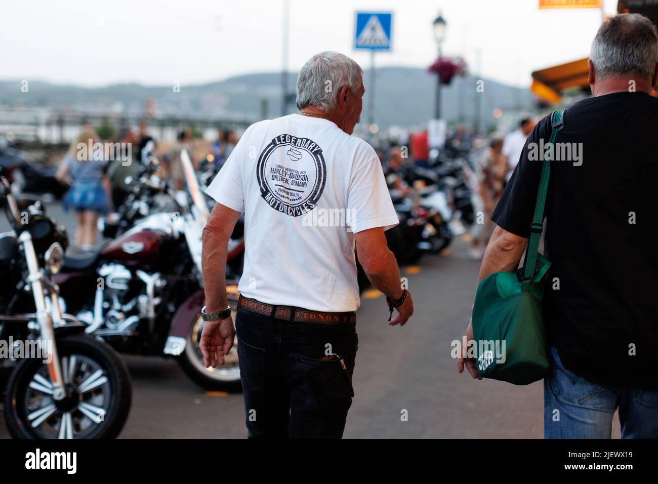 Magic Bikes Rudesheim, one of Europe's biggest Harley Davidson events ...