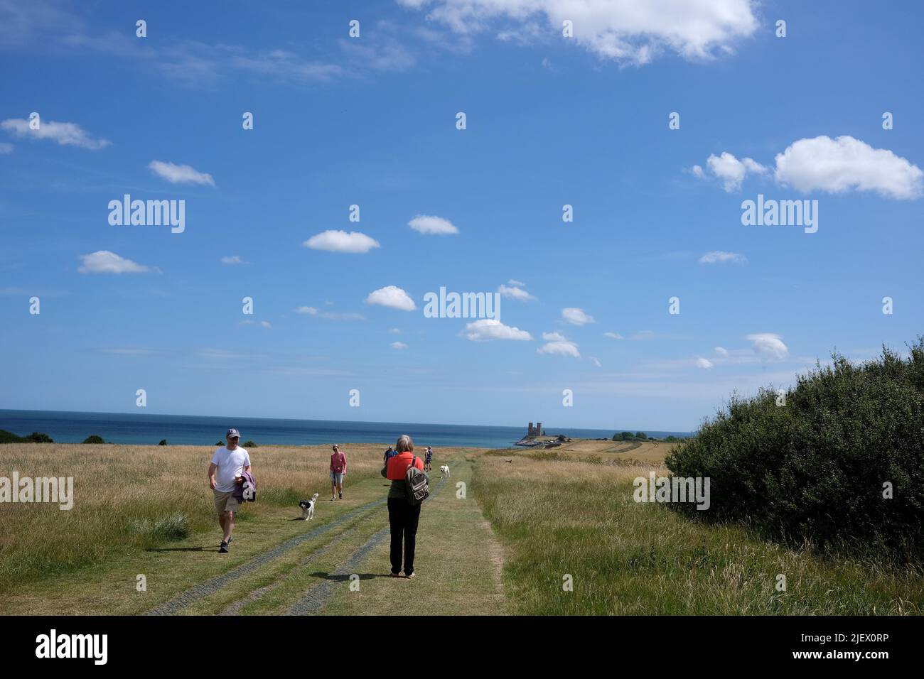 bishopstone coastal path with reculver bay in the distance,showing a ...