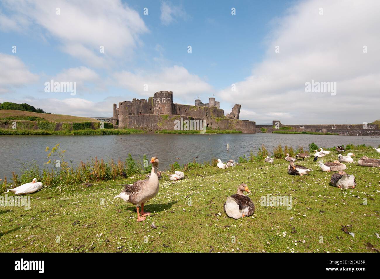 Caerphilly castle south wales hi-res stock photography and images - Alamy
