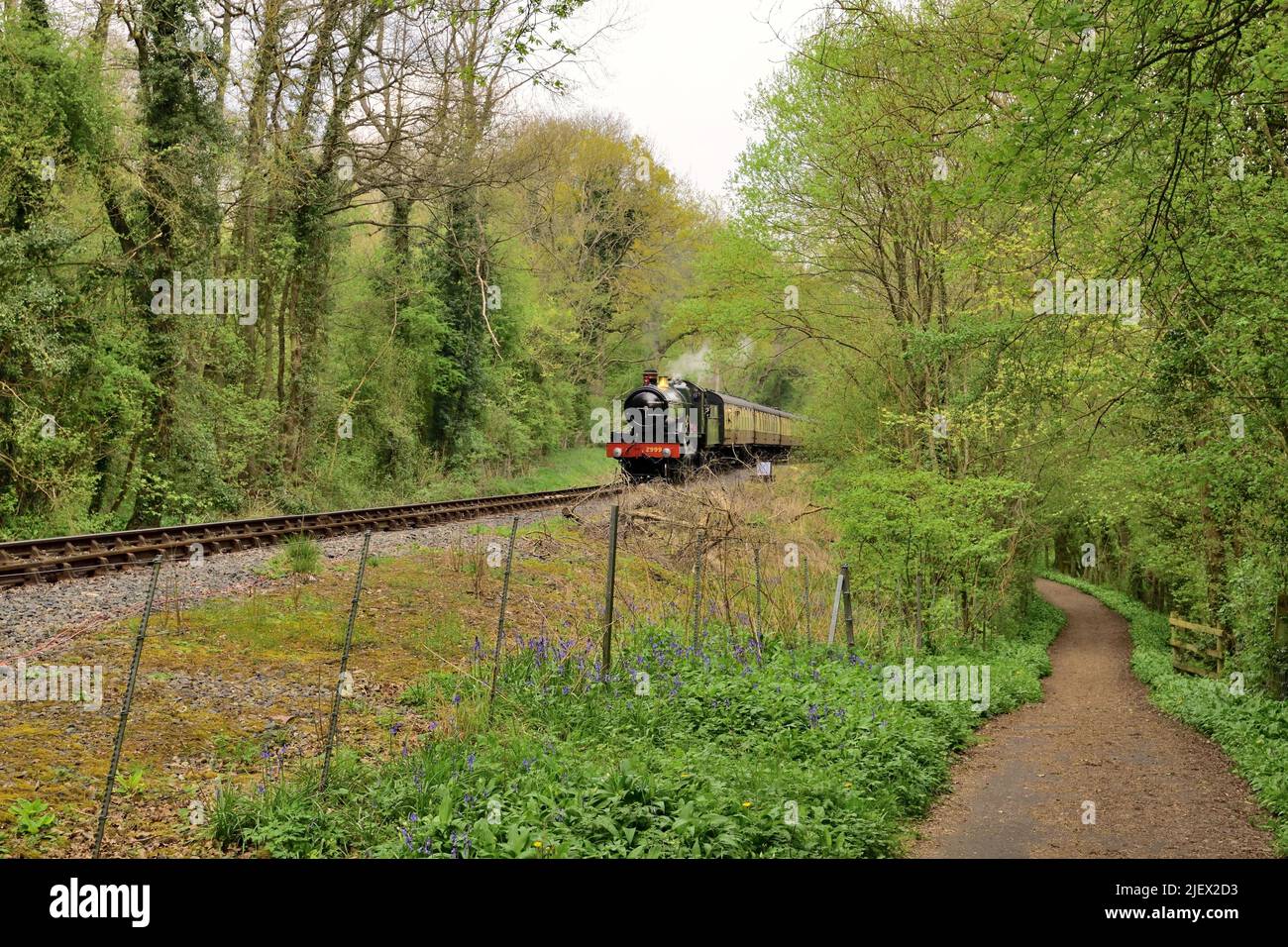 Maindy hall hi-res stock photography and images - Alamy