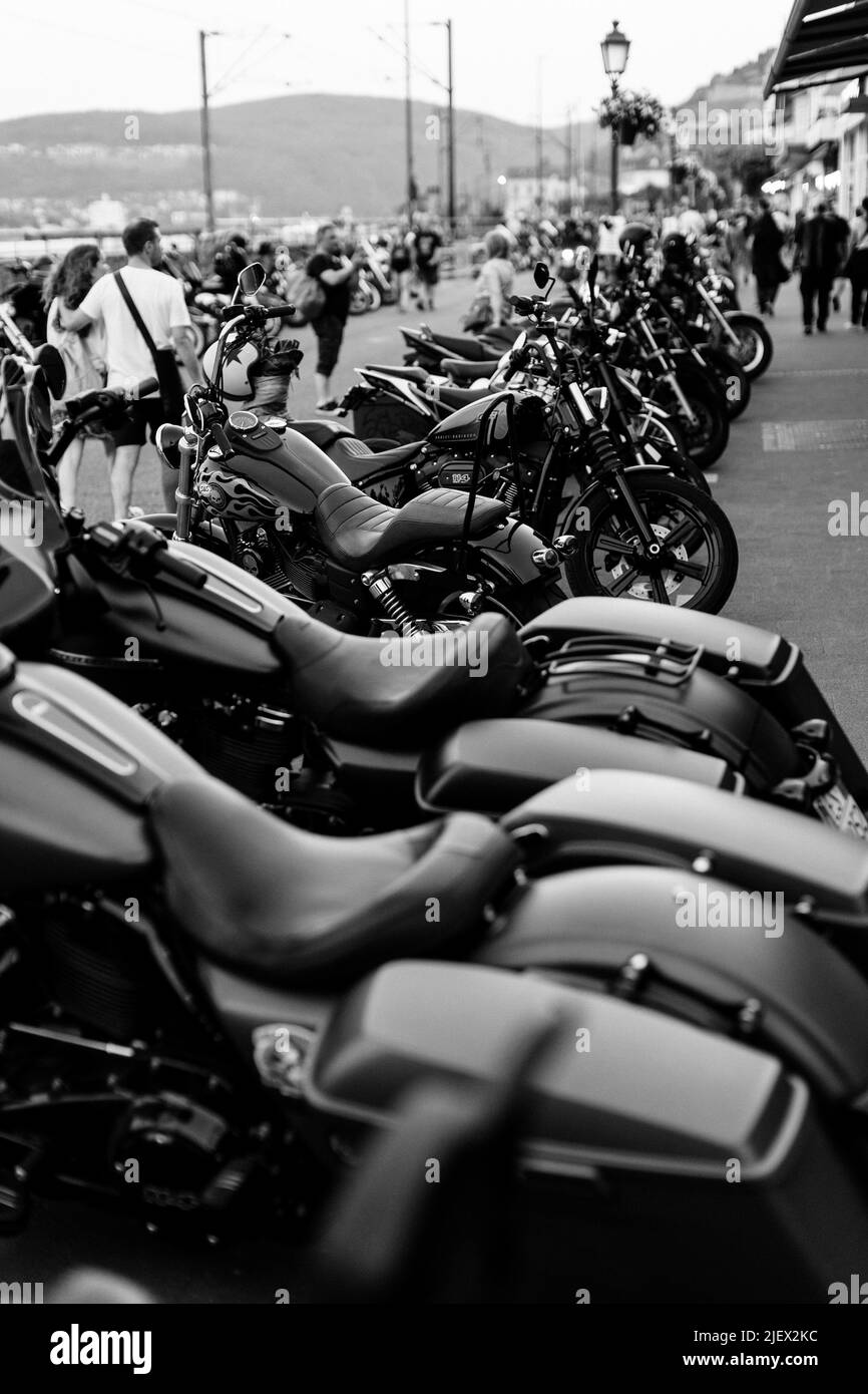 Magic Bikes Rudesheim, one of Europe's biggest Harley Davidson events ...
