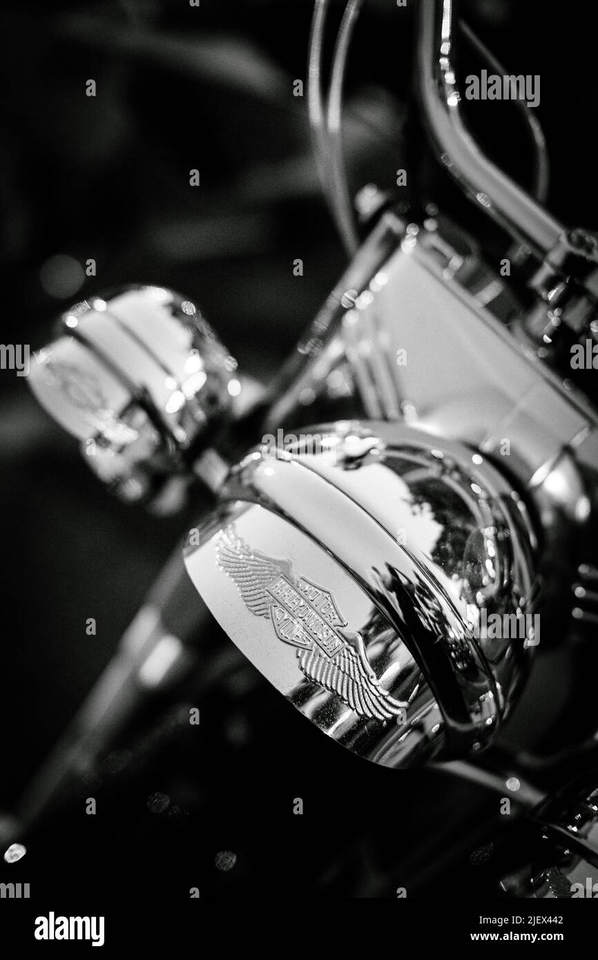 Magic Bikes Rudesheim, one of Europe's biggest Harley Davidson events ...