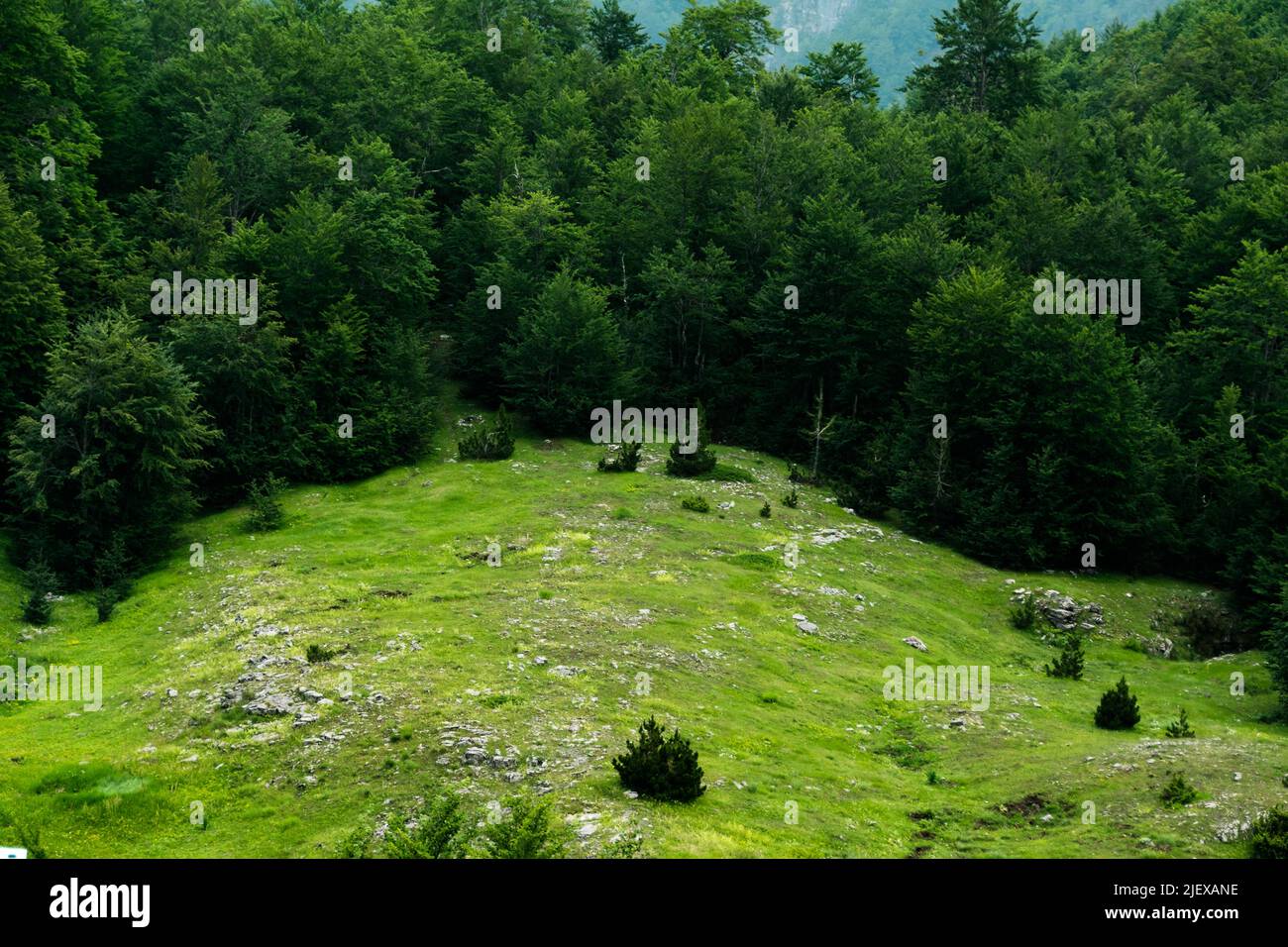 Scenic nature view of Albanian nature. Alpin environment background ...