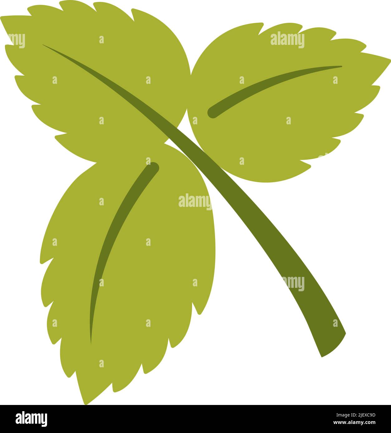 Wild strawberry leaf vector logo Stock Vector Image & Art - Alamy