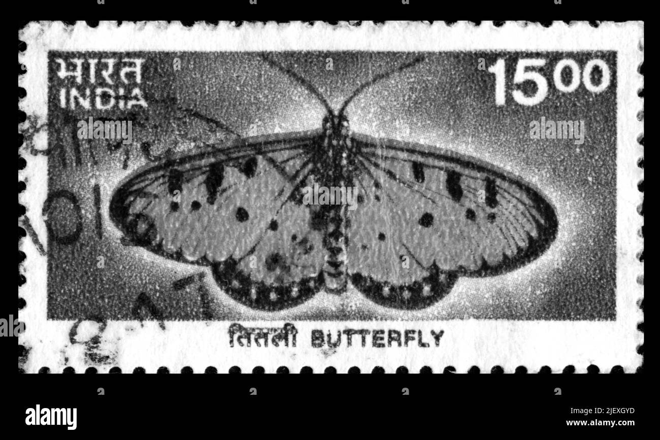 Insects in india Black and White Stock Photos & Images - Alamy