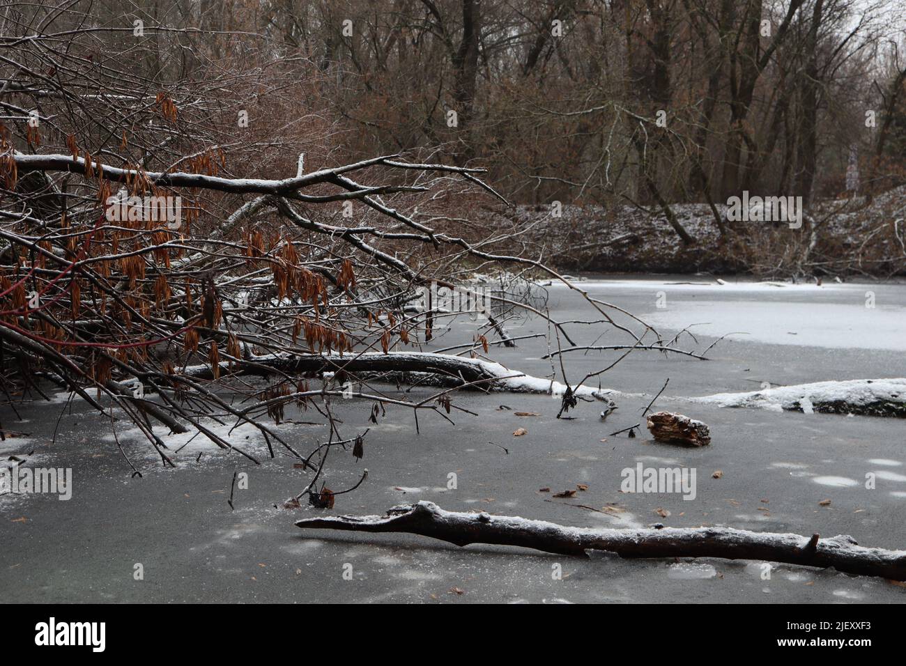 River covered ice autumn trees hi-res stock photography and images - Alamy