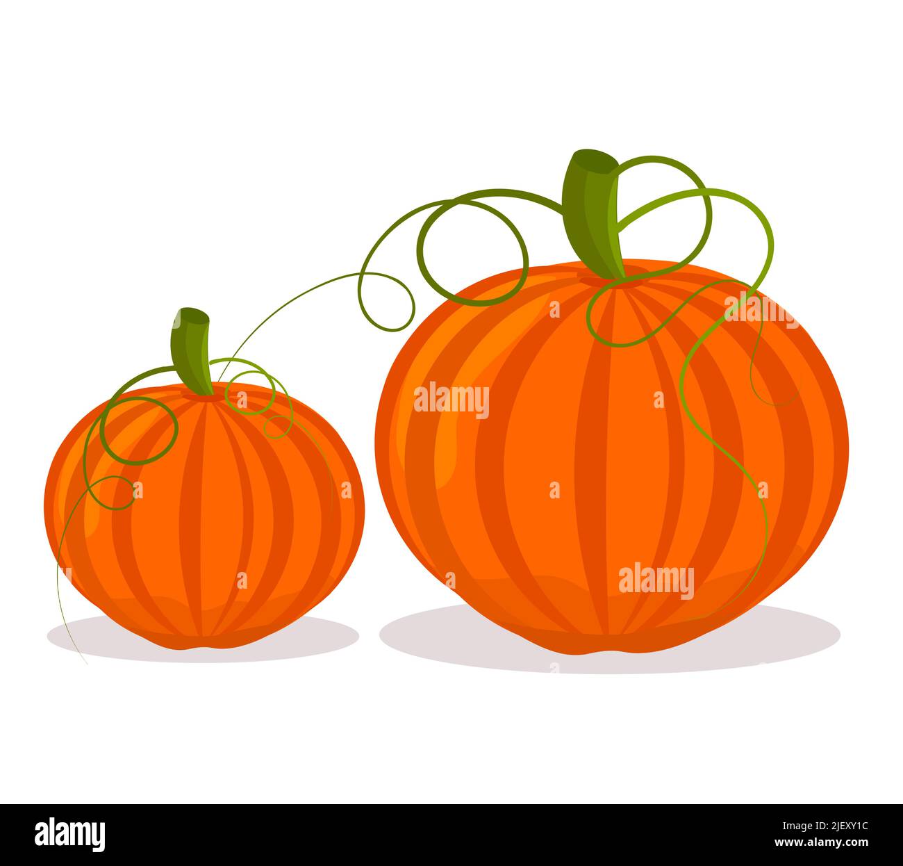 Calabash pumpkins Stock Vector Images - Alamy