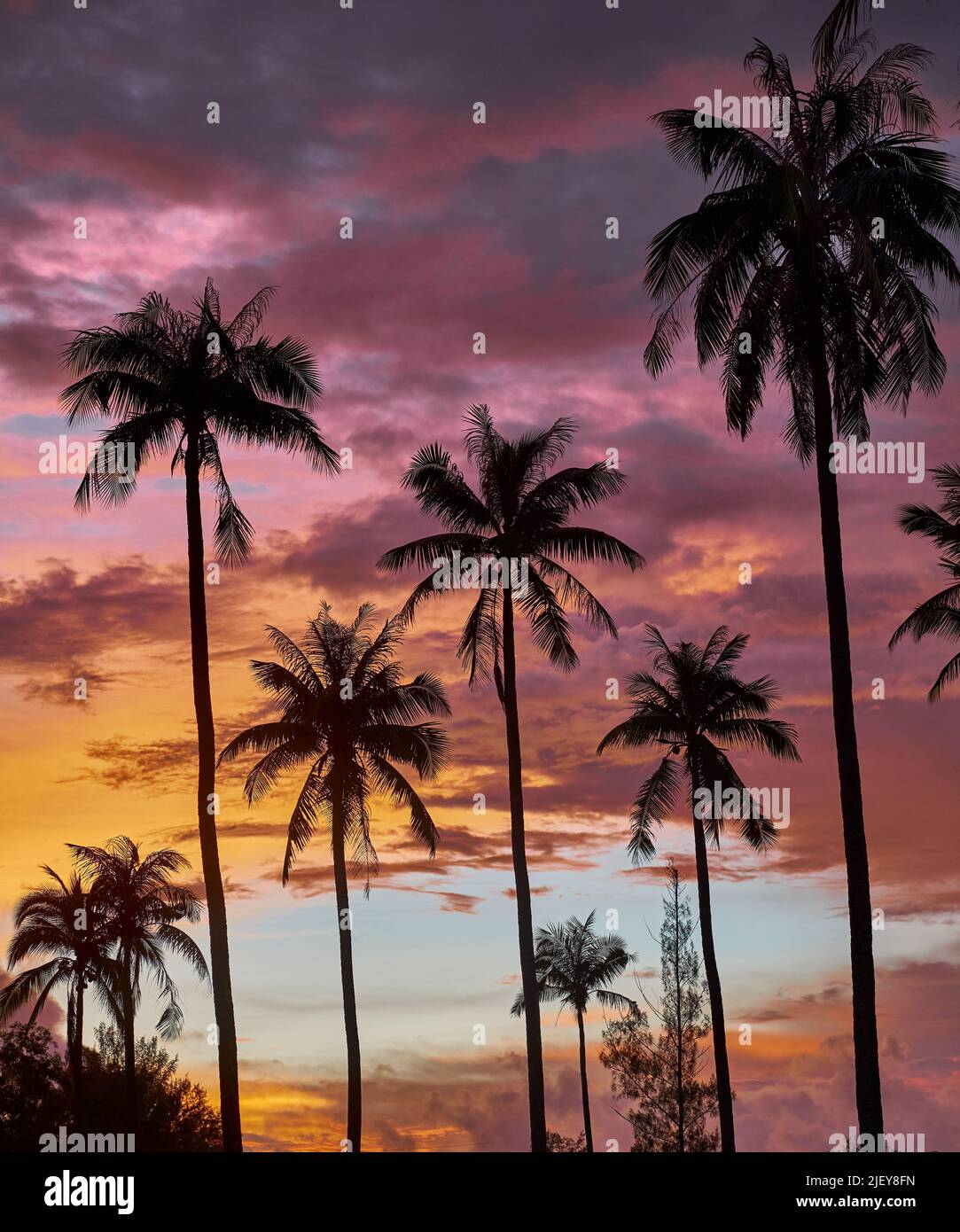 Thailand Beaches Sunset