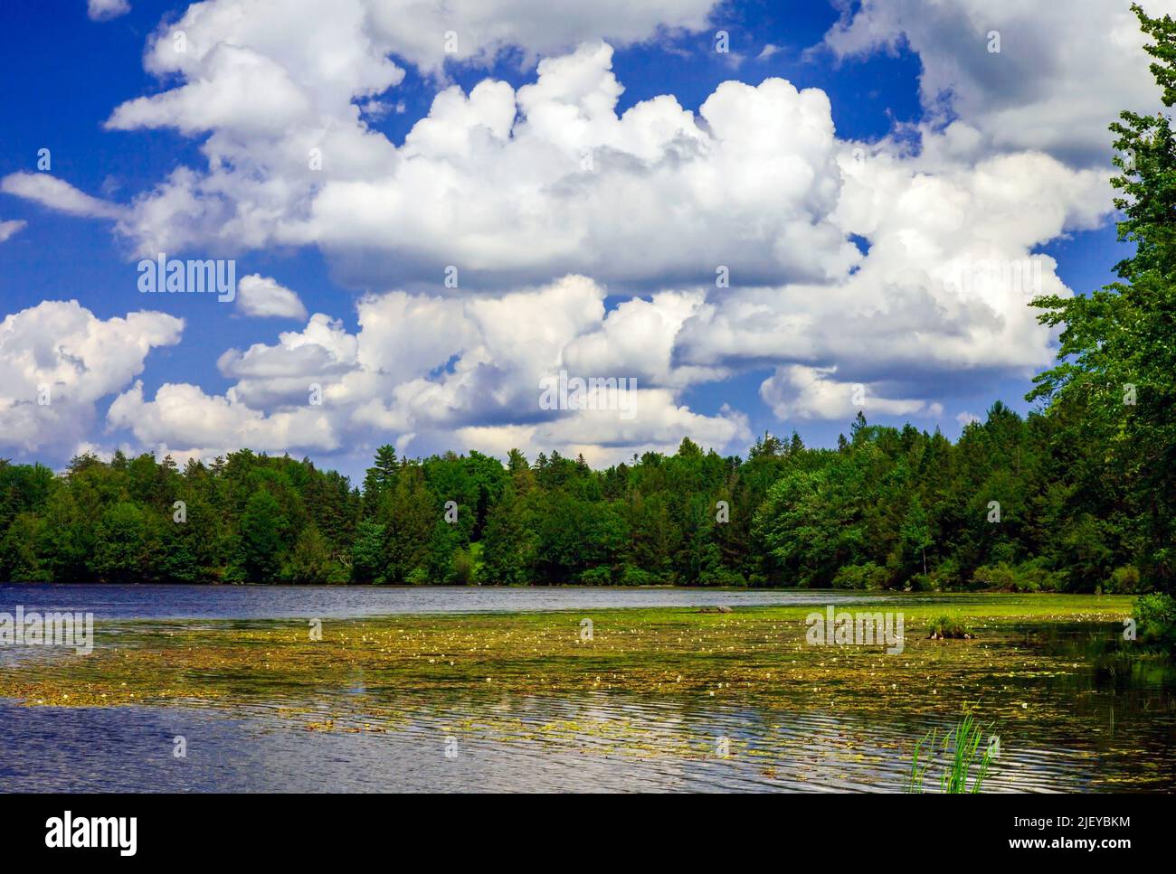 The 422-acre Promised Land Lake is one of two lake at Promised Land ...