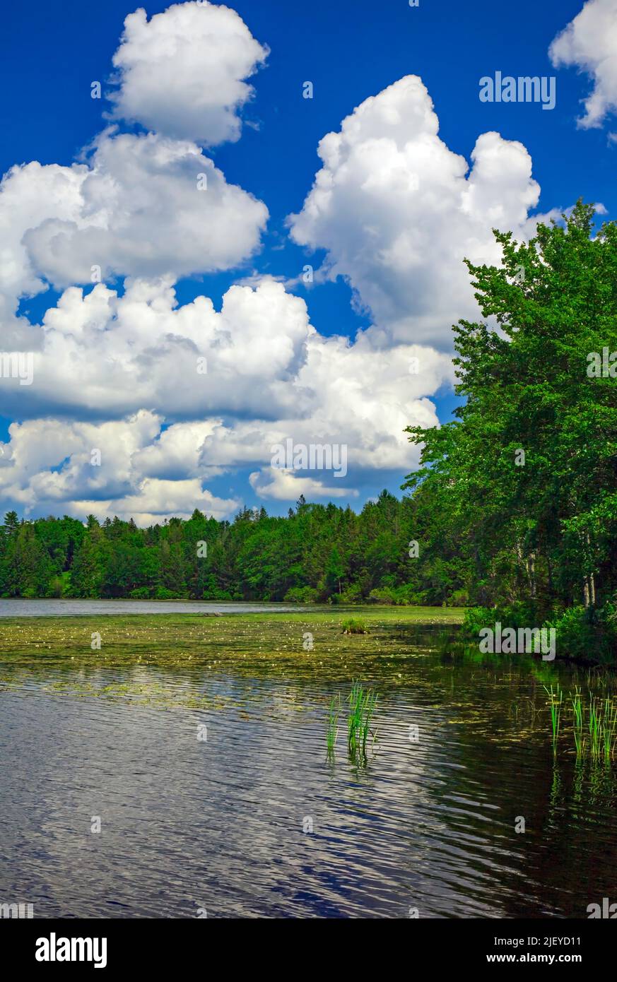 The 422-acre Promised Land Lake is one of two lake at Promised Land ...