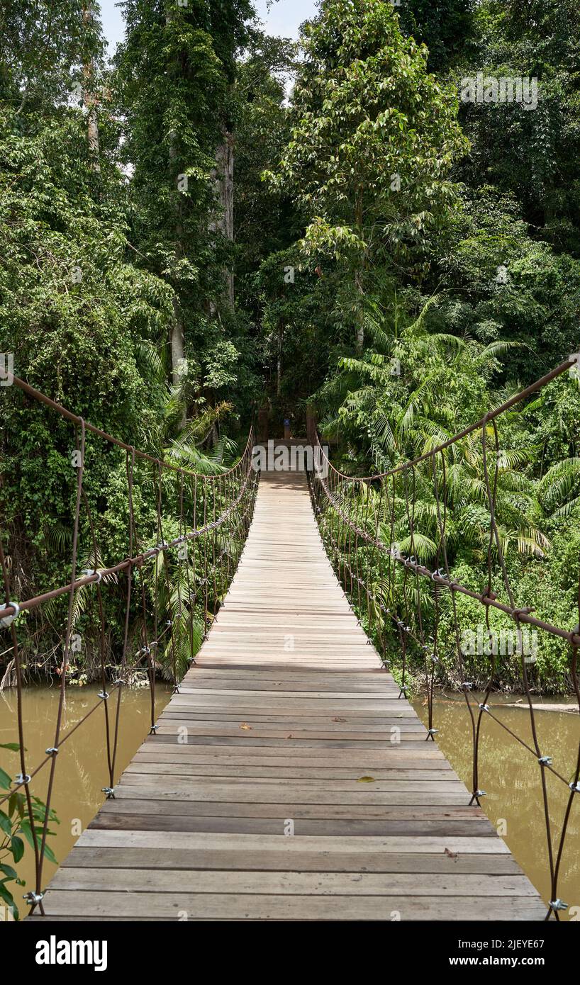 Small wooden dam hi-res stock photography and images - Alamy