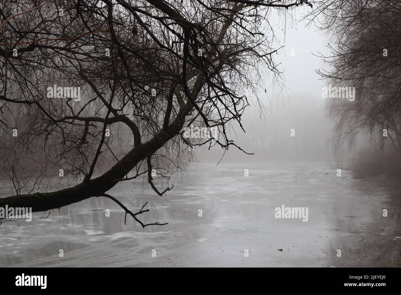 Beautiful sunny foggy autumn hi-res stock photography and images - Alamy