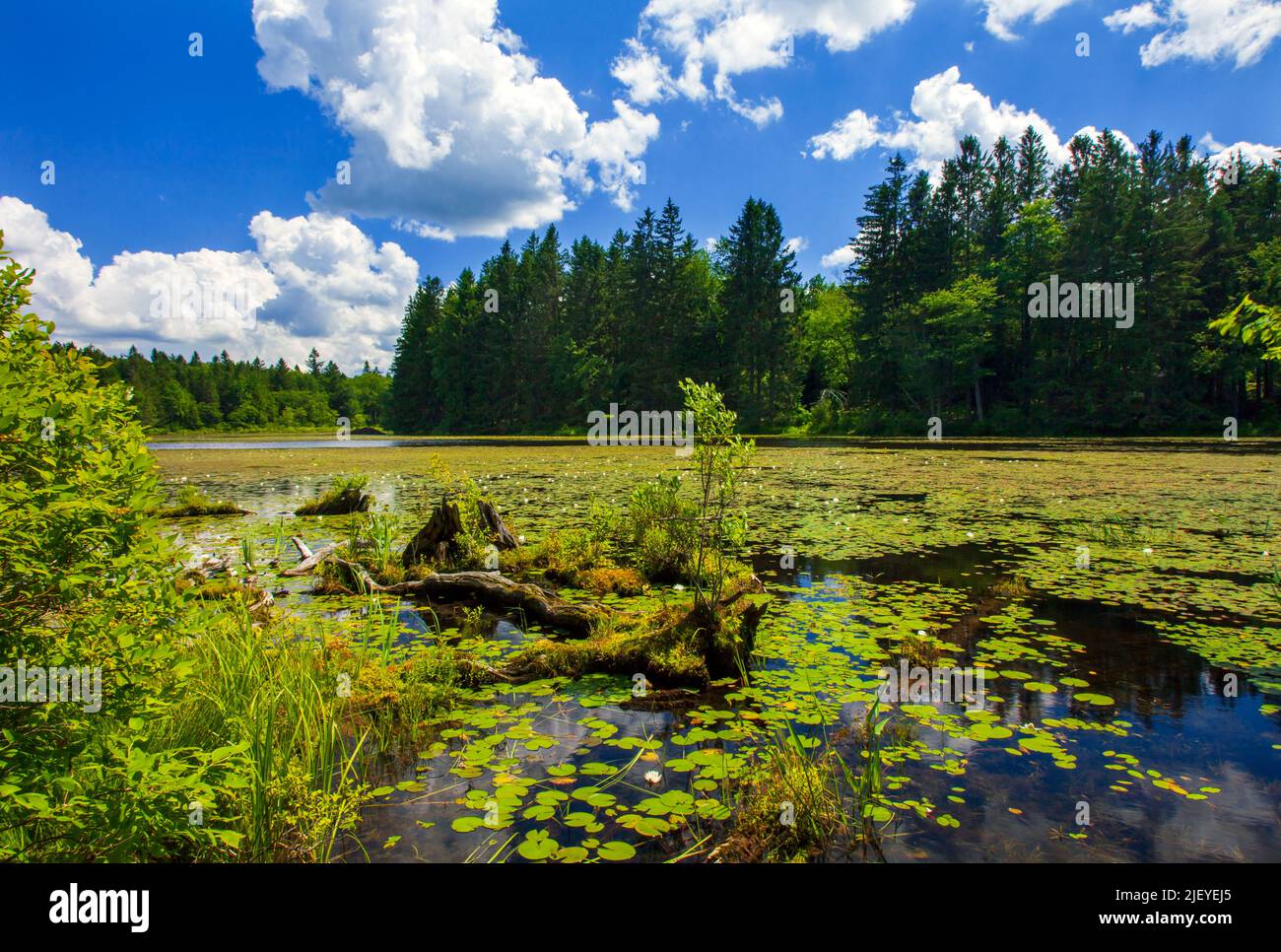 The 422-acre Promised Land Lake is one of two lake at Promised Land ...