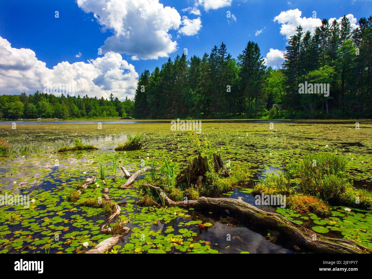 The 422-acre Promised Land Lake is one of two lake at Promised Land ...