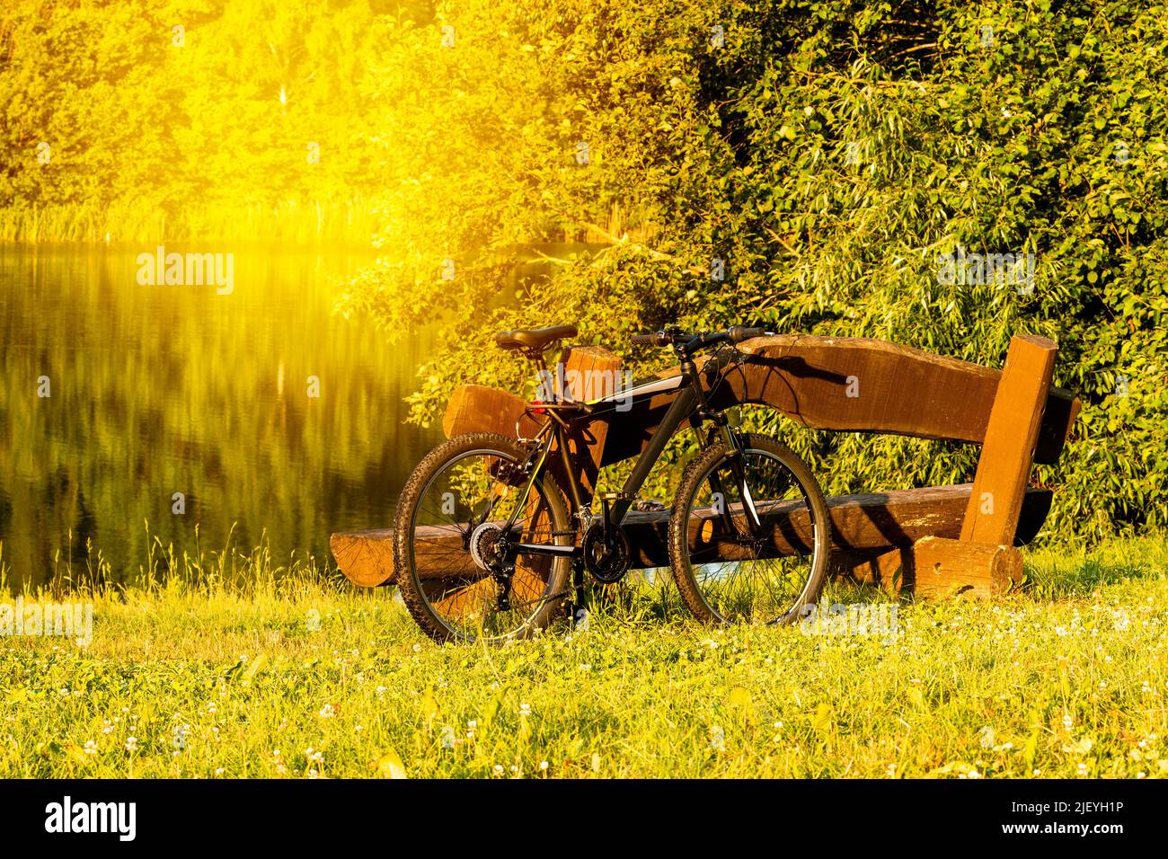 Sport bicycle leaning against wooden bench at lakeside. Active ...