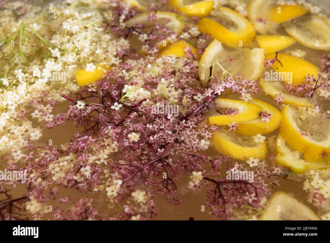 Masses of elder random flower blossom flowers used in organic homemade ...