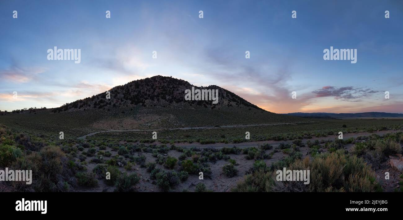 Dry rocky desert mountain landscape with trees. Sunny Sunset Sky Stock ...