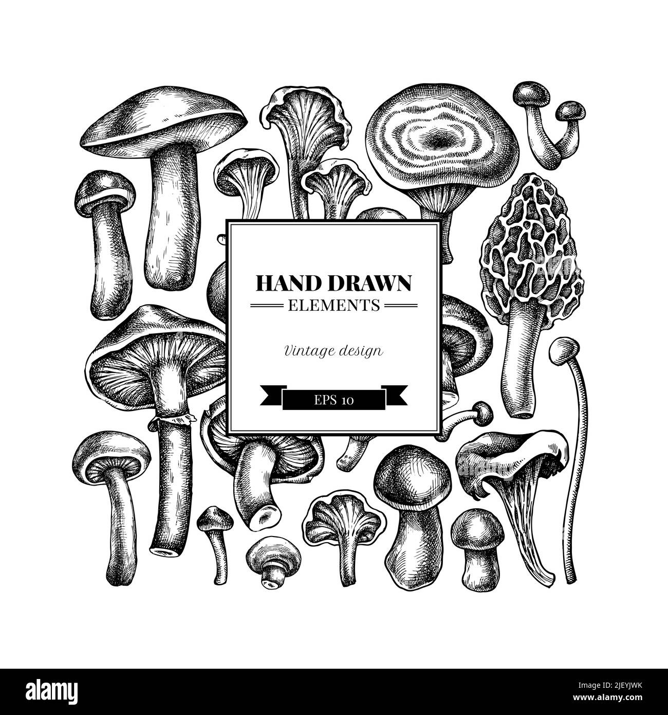 Edible layout Black and White Stock Photos & Images - Alamy