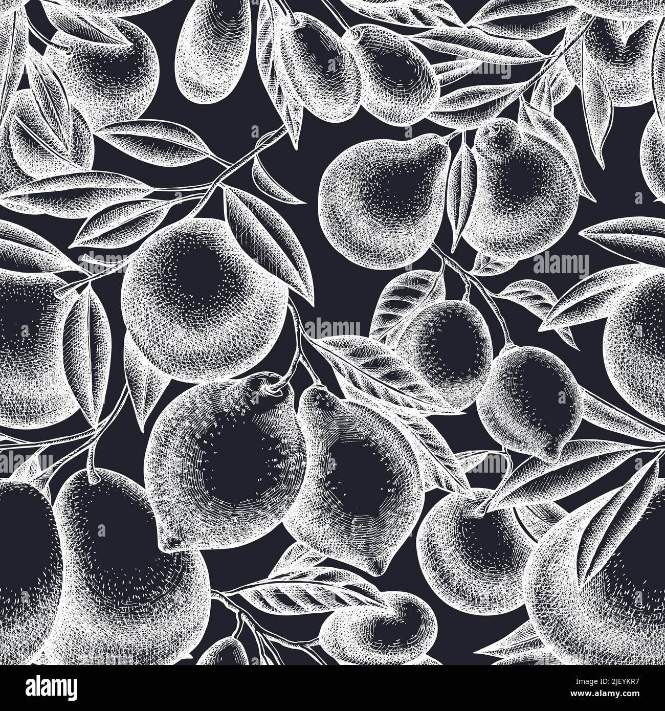 Citrus seamless pattern background design. Engraved style. Hand drawn kumquat, lemon, tangelo ...