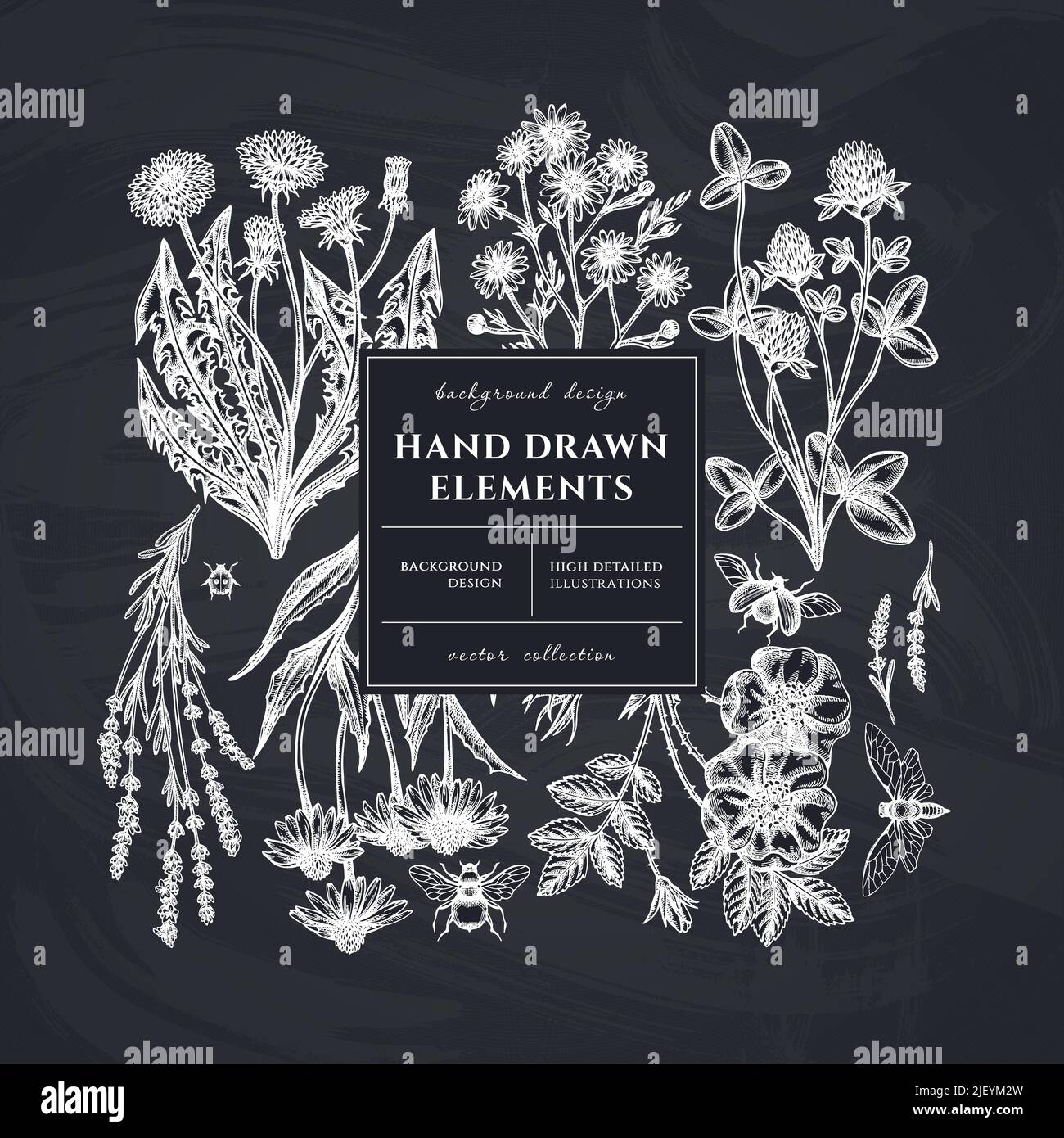 Tea herbs square card or invitation design. Frame design with chamomile ...