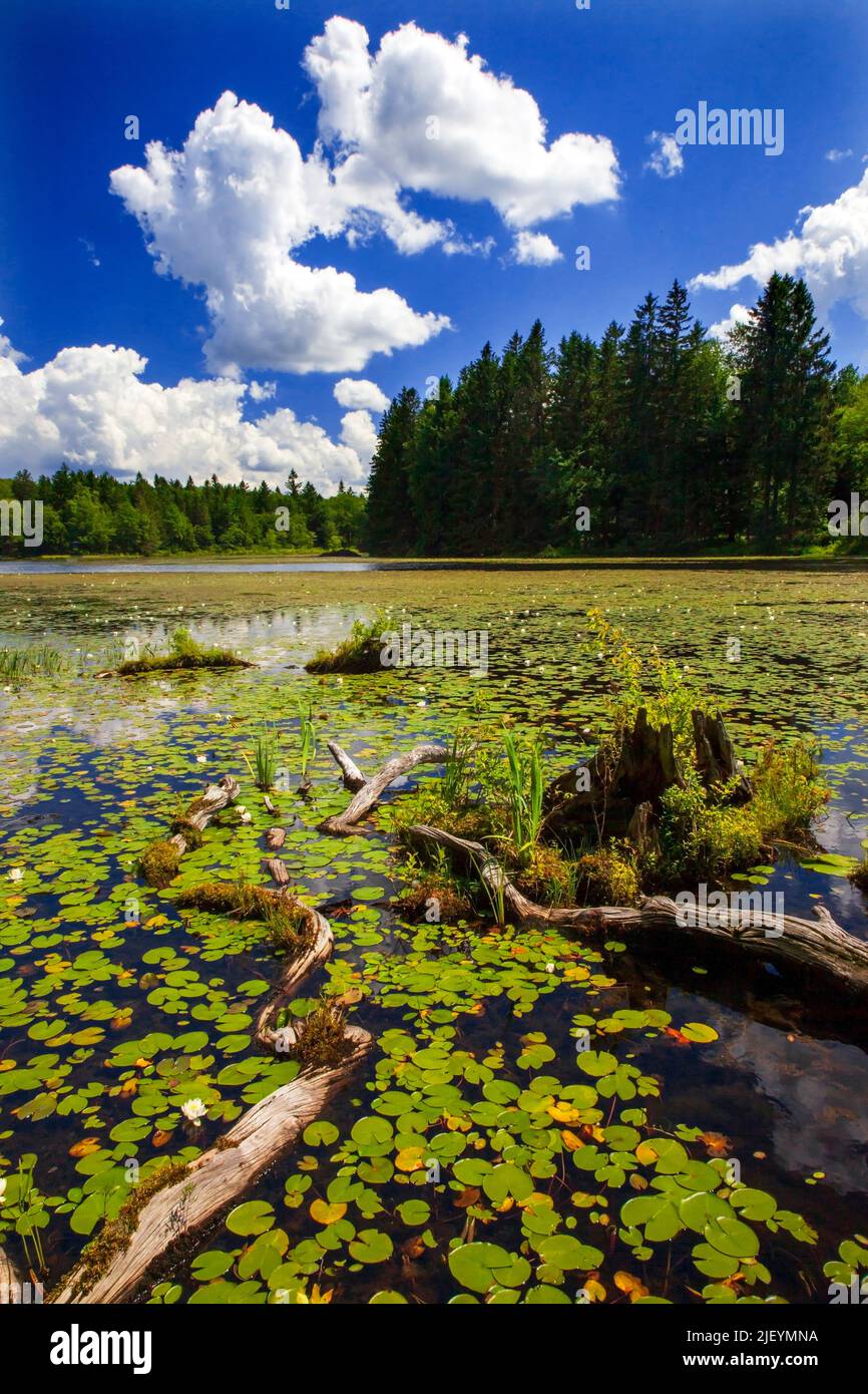 The 422-acre Promised Land Lake is one of two lake at Promised Land ...