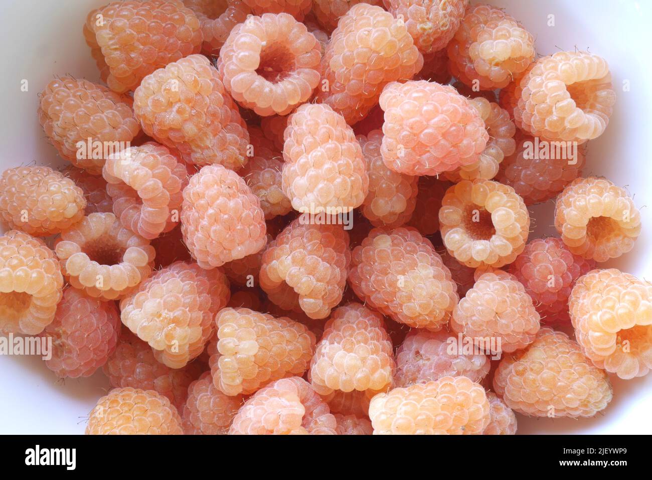 Yellow raspberries hi-res stock photography and images - Alamy