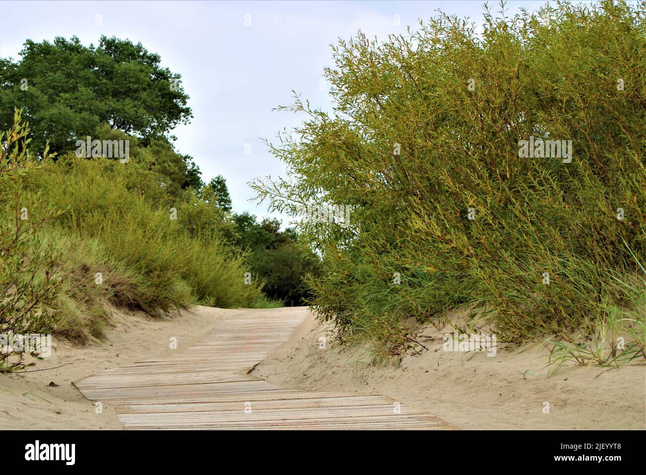 Hav sommar hi-res stock photography and images - Alamy