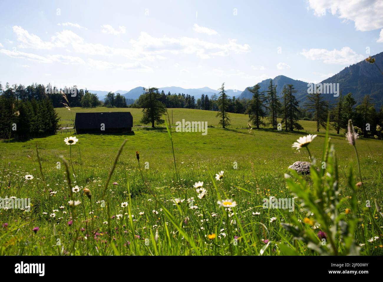 Tyrnauer alm hi-res stock photography and images - Alamy