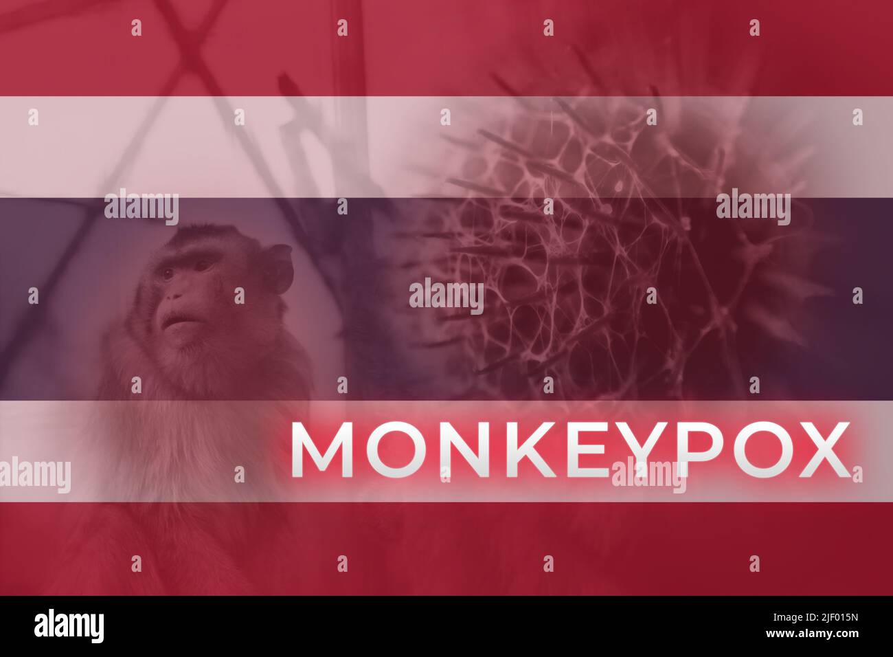 Monkeypox virus. Thailand flag background. Outbreak concept. Virus ...