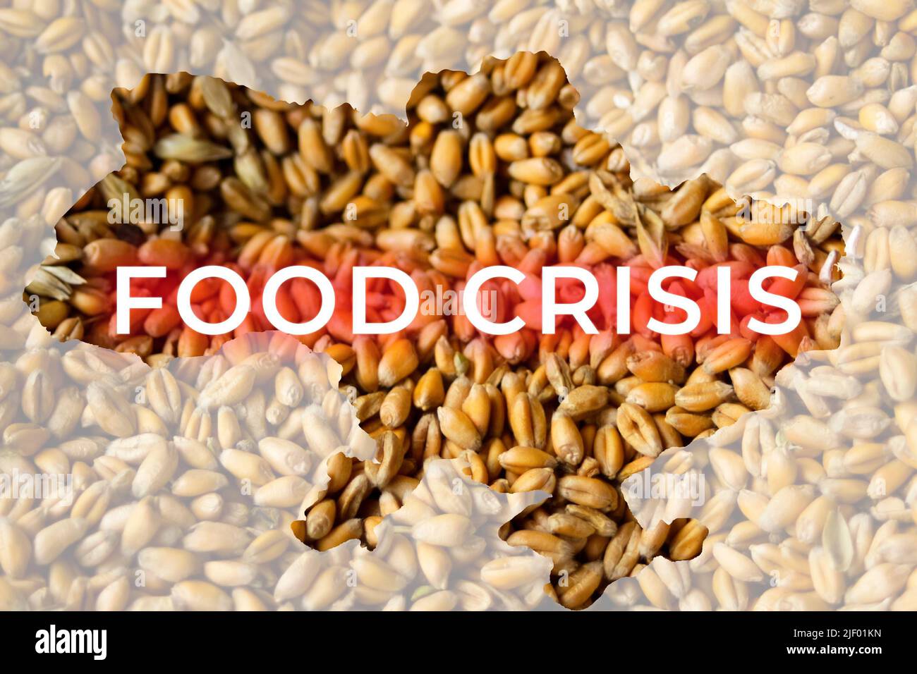 Food crisis. Global and European grain and wheat crisis in Ukraine ...