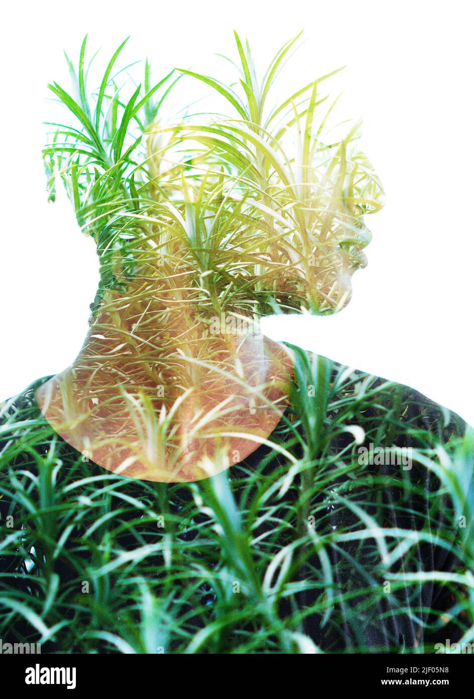 Double exposure portrait of a young man Stock Photo - Alamy