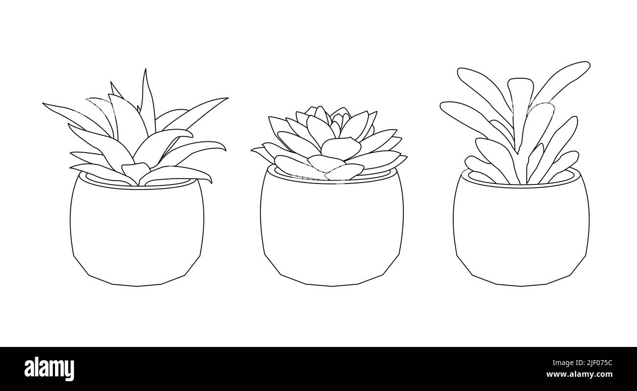 Eco Simple Potted Plant Drawing
