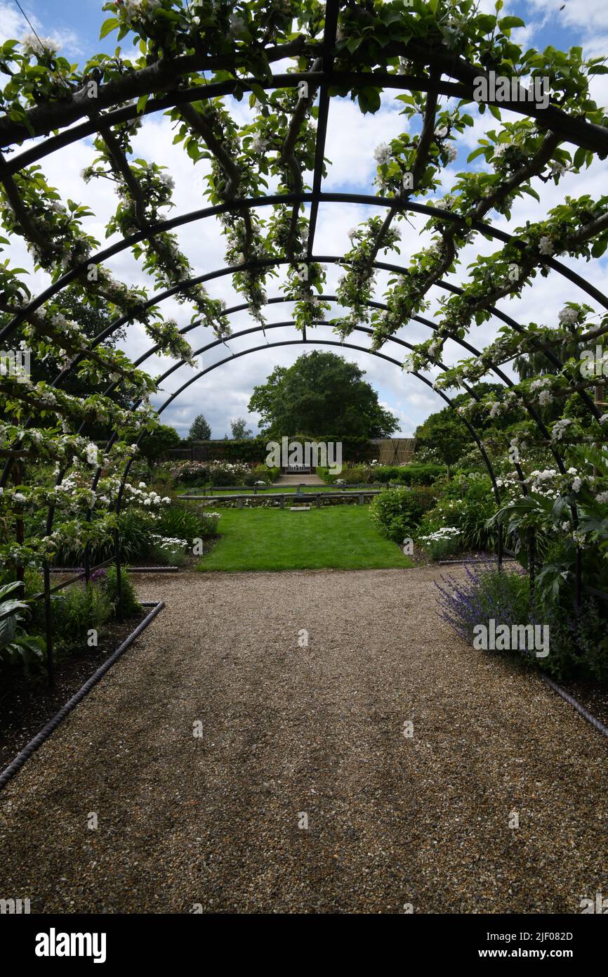 Archways of fruit Stock Photo - Alamy