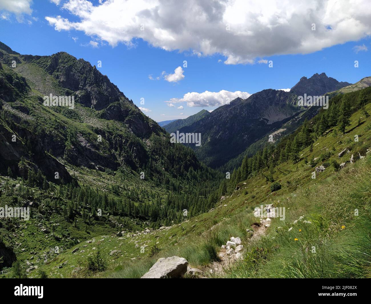 Cima d’Asta is the highest mountain of the Fiemme Mountains in the ...
