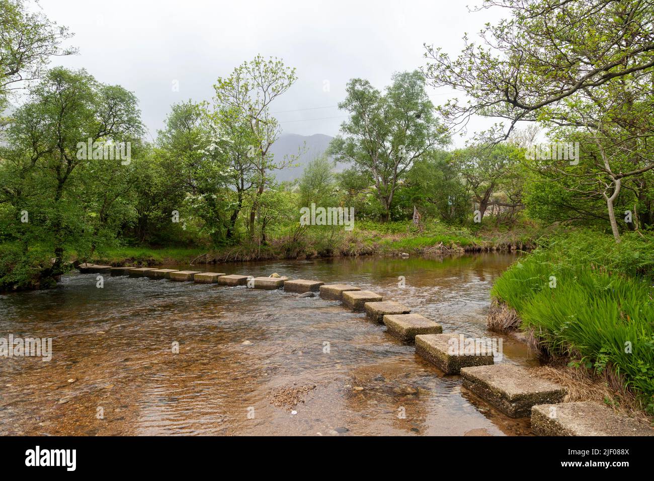 Stepping stones path pathway hi-res stock photography and images - Alamy